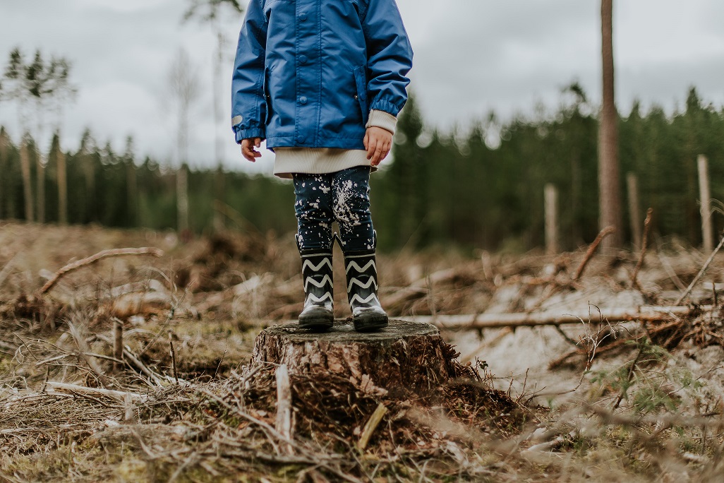 10 Nature Walk Activities for Toddlers - Wild Mother